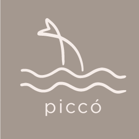 Piccó Basics – PICCO BASIC